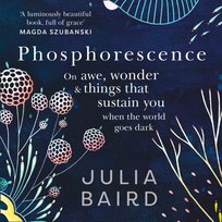 Phosphorescence - audiobook - Baird Julia | Audiobook Sklep EMPIK.COM