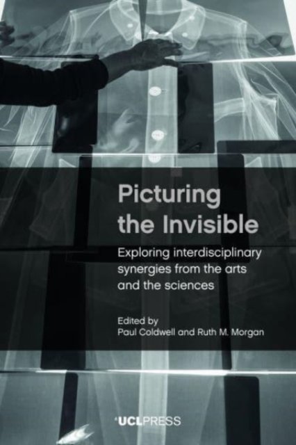 Picturing the Invisible: Exploring Interdisciplinary Synergies from the ...