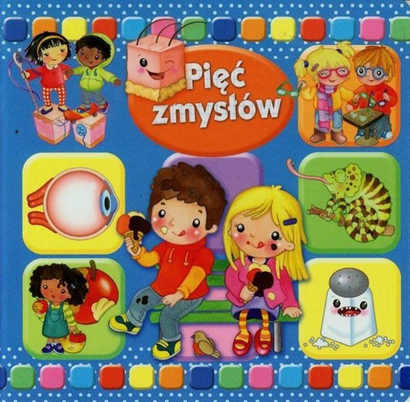 Pięć zmysłów - Opracowanie zbiorowe | Książka w Empik