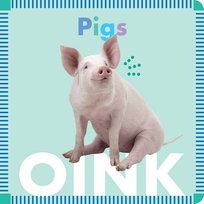 Pigs Oink - Glaser Rebecca Stromstad | Książka w Empik
