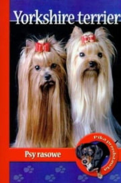 Pika przedstawia Yorkshire Terrier Psy rasowe - Opracowanie zbiorowe ...