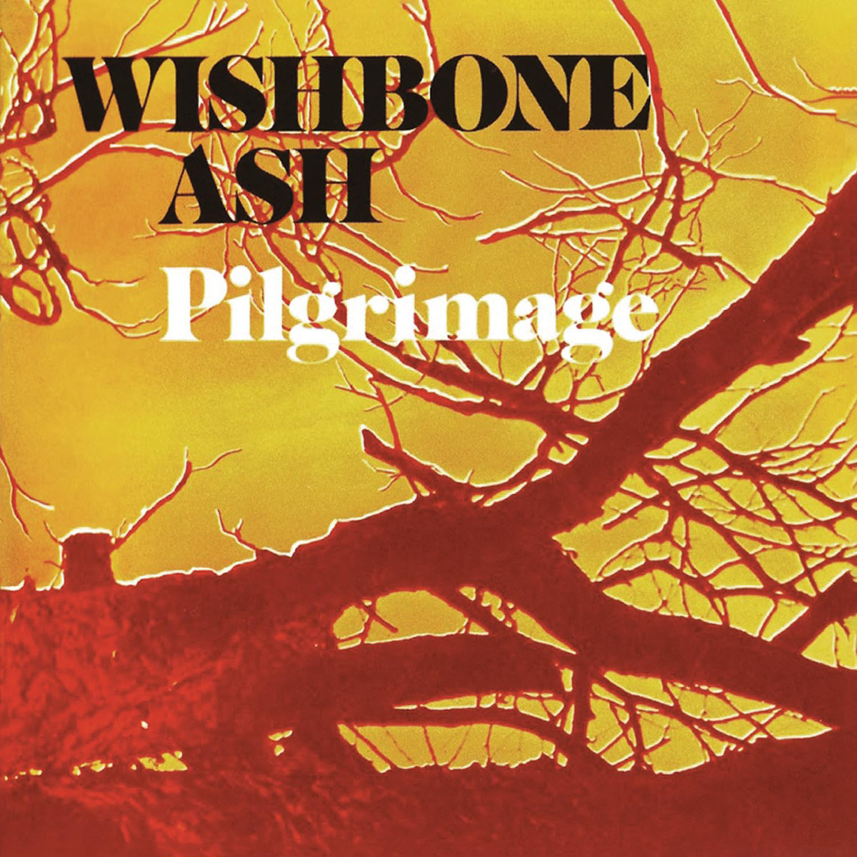 Pilgrimage (Reedycja) - Wishbone Ash | Muzyka Sklep EMPIK.COM