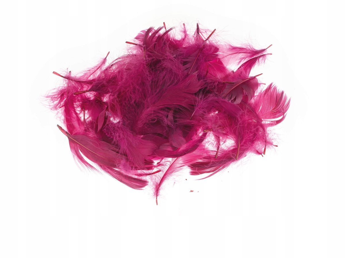 Piórka Ozdobne Dekoracyjne 7 G Bordowe Brewis - Brewis | Sklep EMPIK.COM