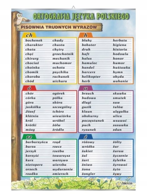 Pisownia Trudnych Wyrazów I Wyjątków Język Polski - VISUAL System | Sklep EMPIK.COM