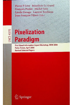 Pixelization Paradigm - Springer | Książka w Empik