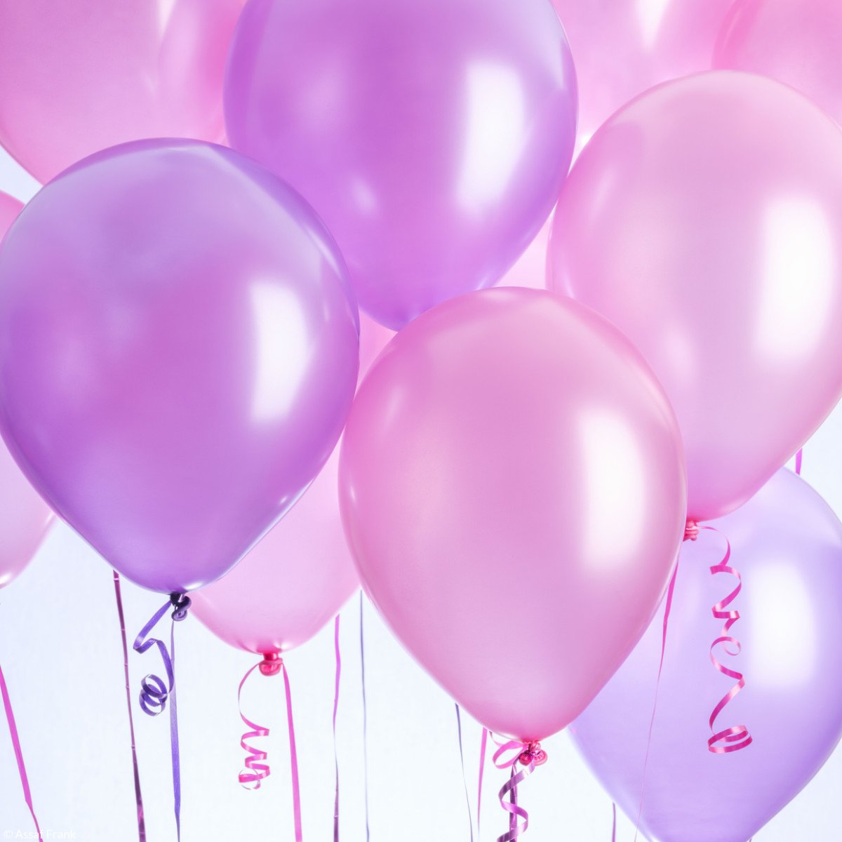 Plakat 20x20cm Różowe baloniki, Assaf Frank - Zakito Posters | Sklep ...