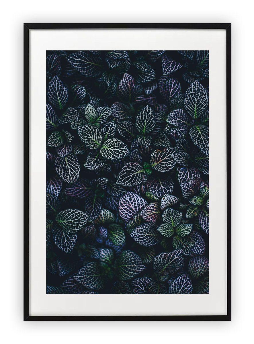 Plakat 61x91 cm Liście listki zielone rośliny WZORY - Printonia | Sklep ...