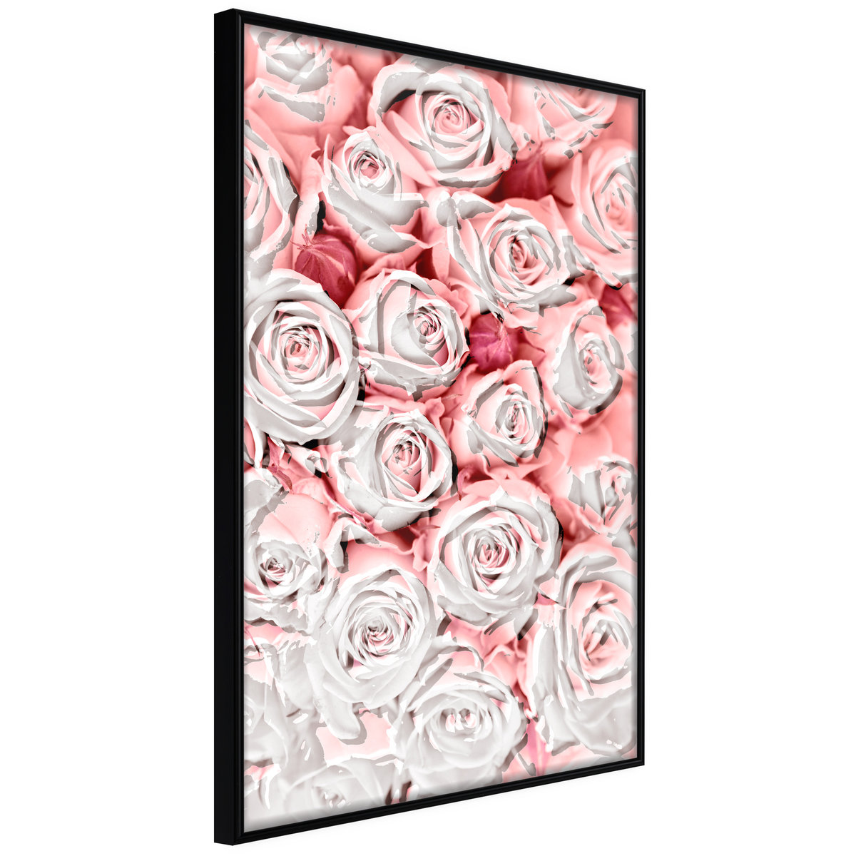 Plakat - Białe róże [Poster] - ARTGEIST | Sklep EMPIK.COM