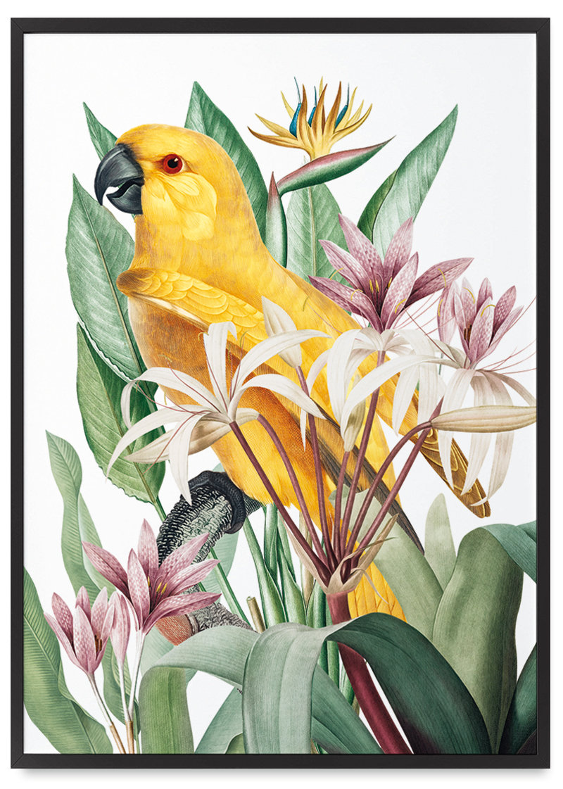 Plakat czarna ramka żółta papuga w kwiatach 61x91 cm - Hog Studio ...