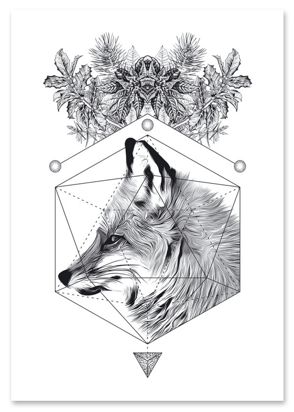 Plakat czarnobiały lis 61x91 cm - Hog Studio | Sklep EMPIK.COM