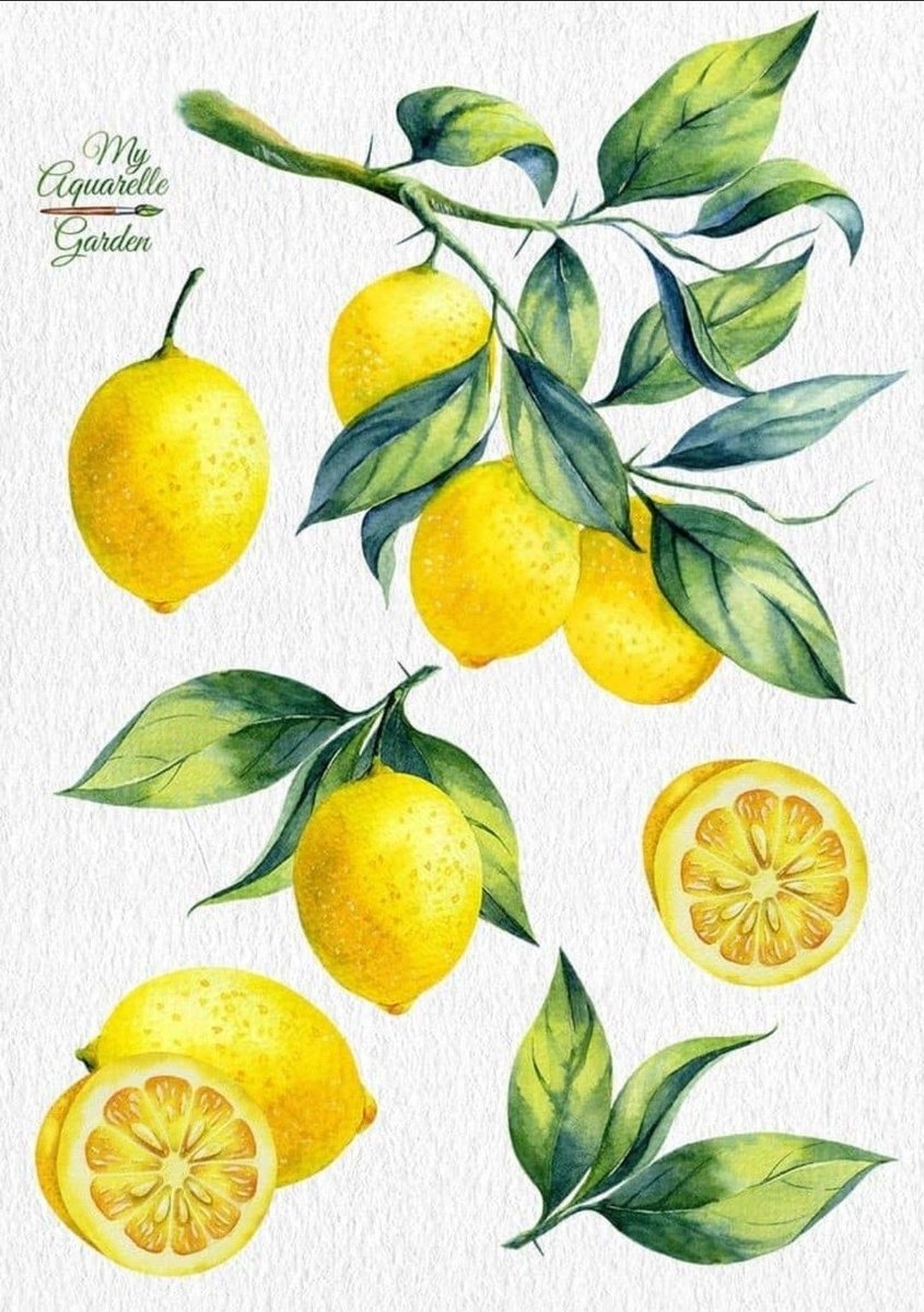 Plakat Do Kuchni Cytryny Retro Vintage 100x70 cm - Atram | Sklep EMPIK.COM