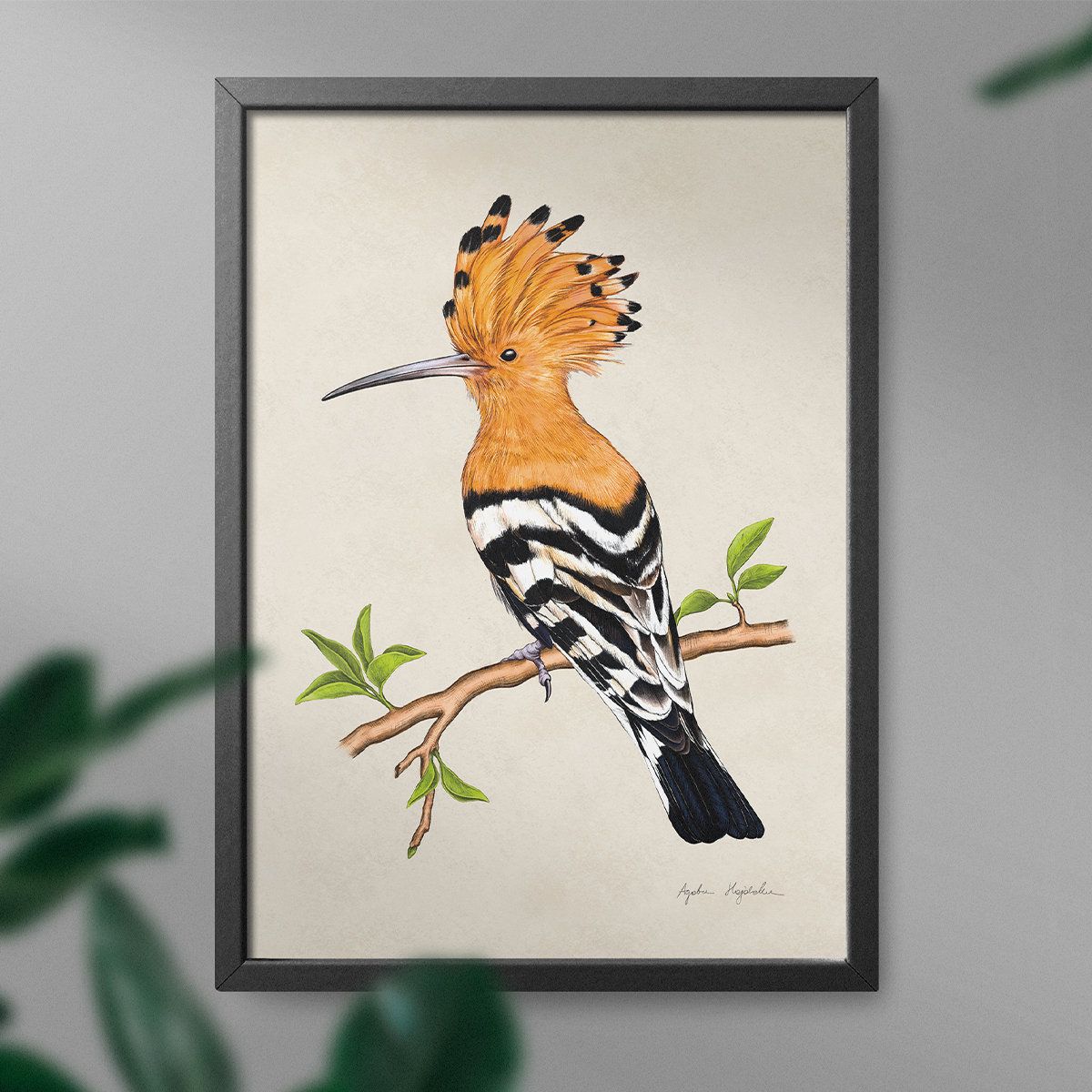 Plakat Dudek 21X30, Polskie Ptaki, Zwierzęta, Autorska Ilustracja ...