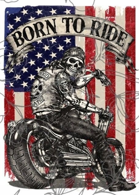 Plakat Harley-Davidson Born To Ride motor 30x21 cm - Atram | Sklep ...