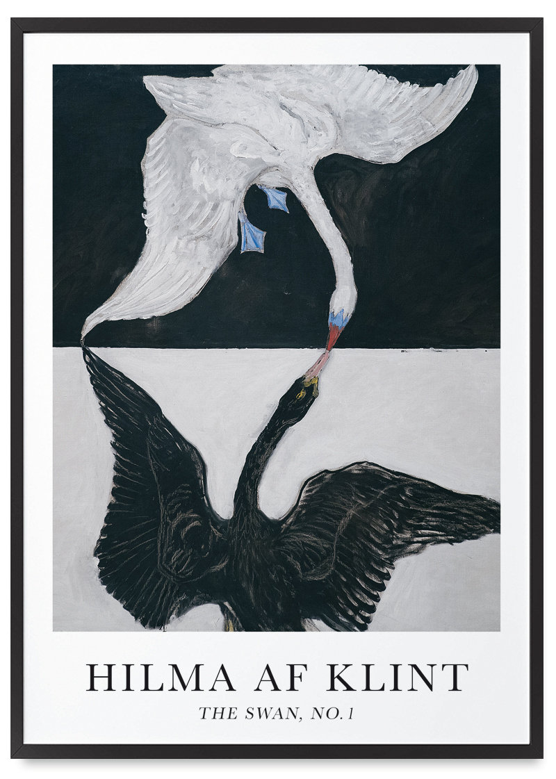 Plakat hilma af klint łabędź biały czarny 50x70 cm w czarnej ramie ...