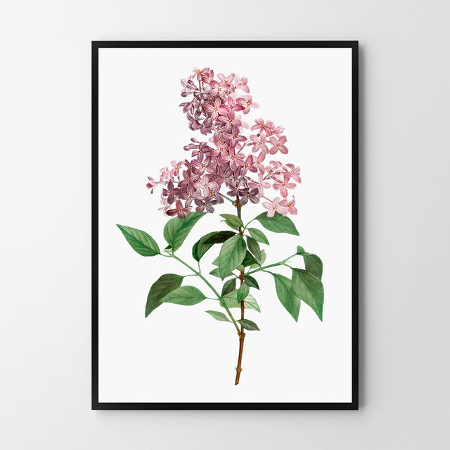 Plakat HOG STUDIO Lila vintage, 40x50 cm - Hog Studio | Sklep EMPIK.COM