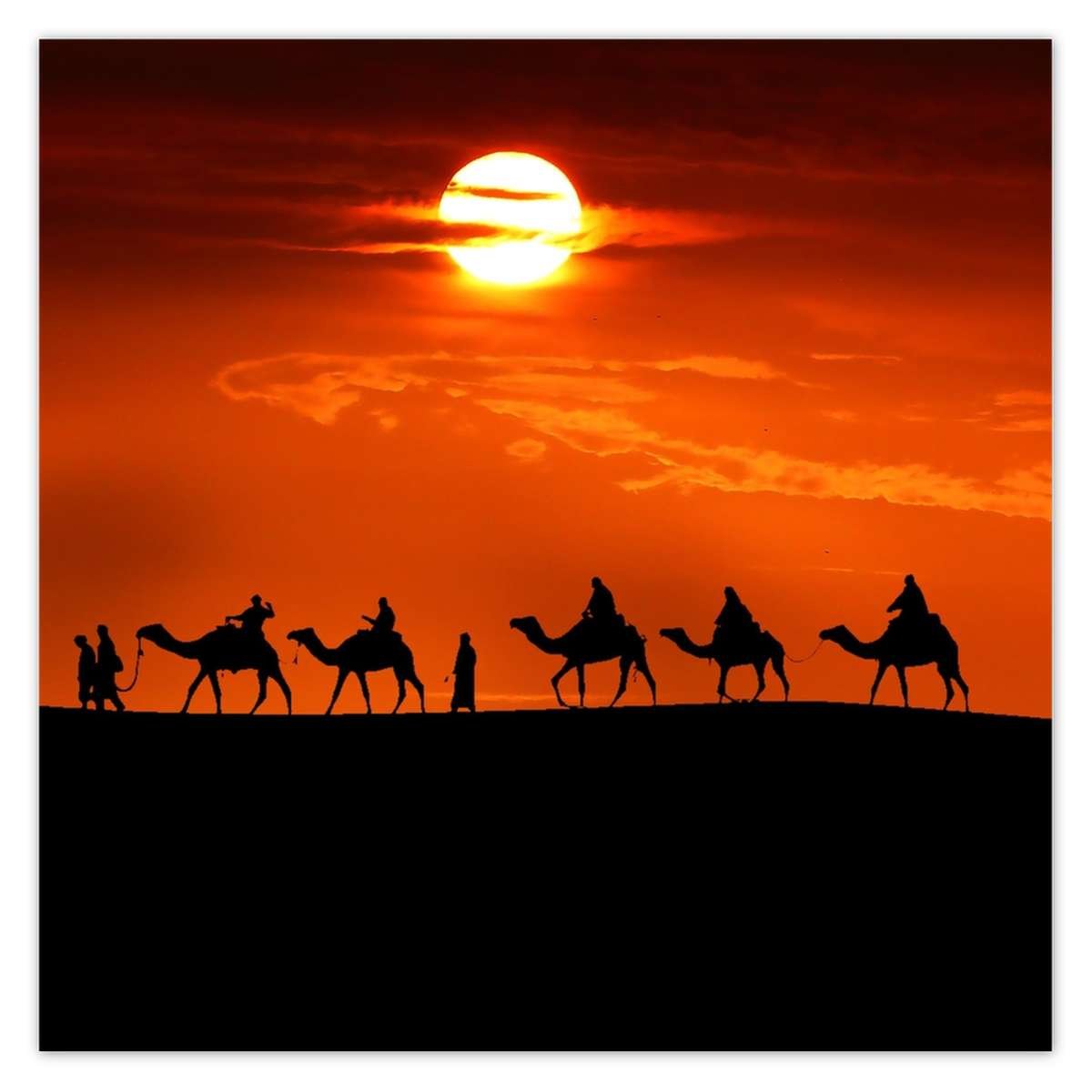 Plakat Karawana na pustyni, 70x70 cm - ZeSmakiem | Sklep EMPIK.COM