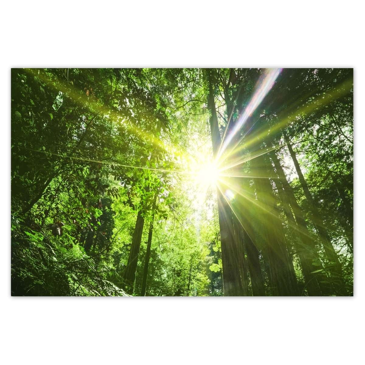 Plakat Magiczny las Krajobraz, 120x80 cm - ZeSmakiem | Sklep EMPIK.COM