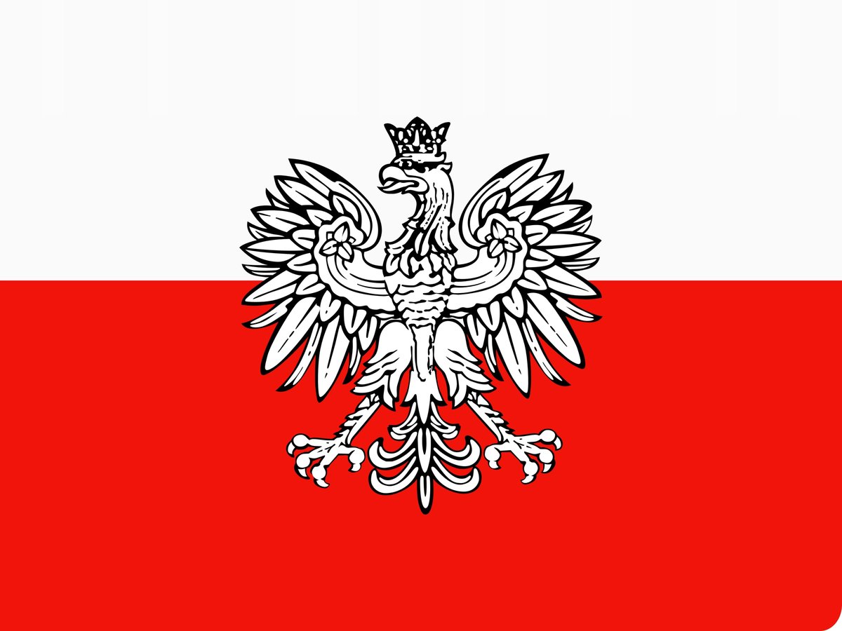 PLAKAT METALOWY Flaga POLSKA POLAND Godło Orzeł 40x30 - Inna marka ...