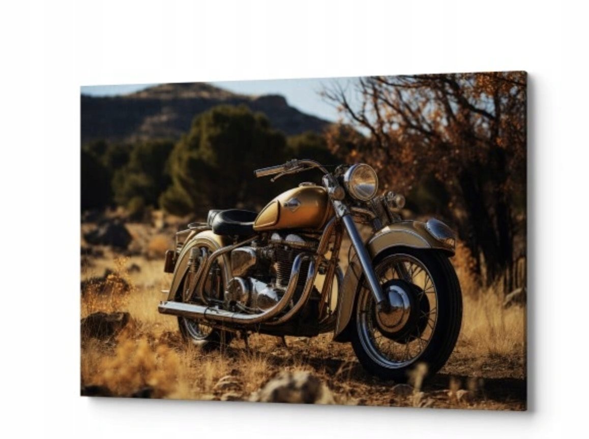 PLAKAT MOTOCYKL MOTOR Harley-Davidson 100x70 cm #3 - Atram | Sklep ...