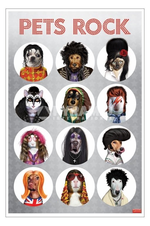 plakat PETS ROCK - TAKKODA - Pyramid | Sklep EMPIK.COM