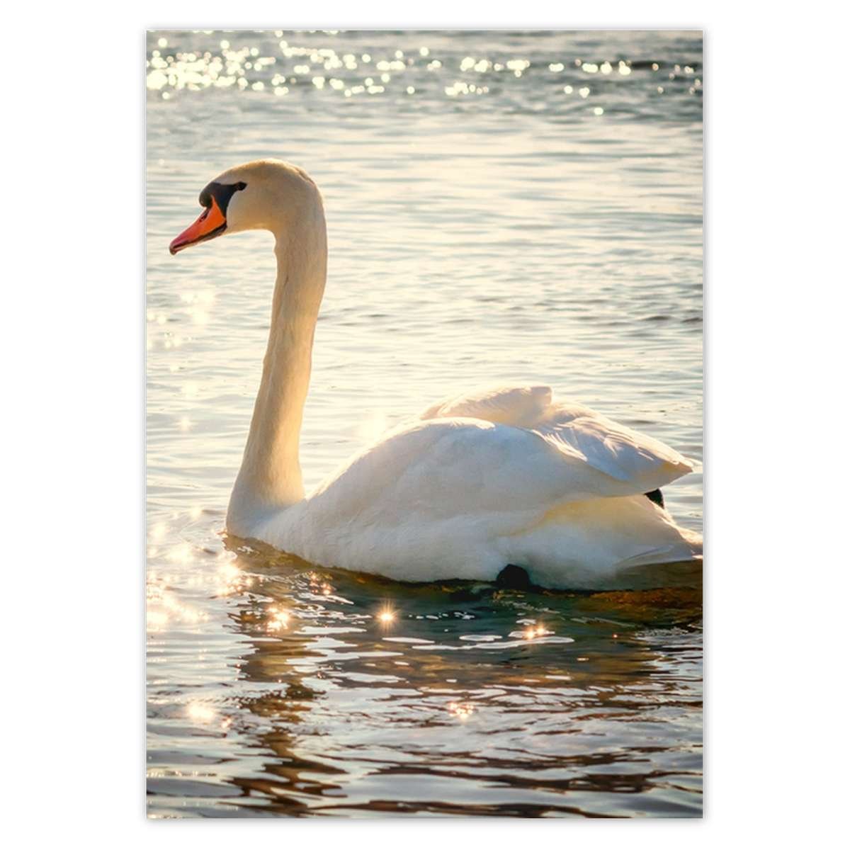 Plakat pionowy Łabędź na jeziorze, 29,7x42 cm - ZeSmakiem | Sklep EMPIK.COM