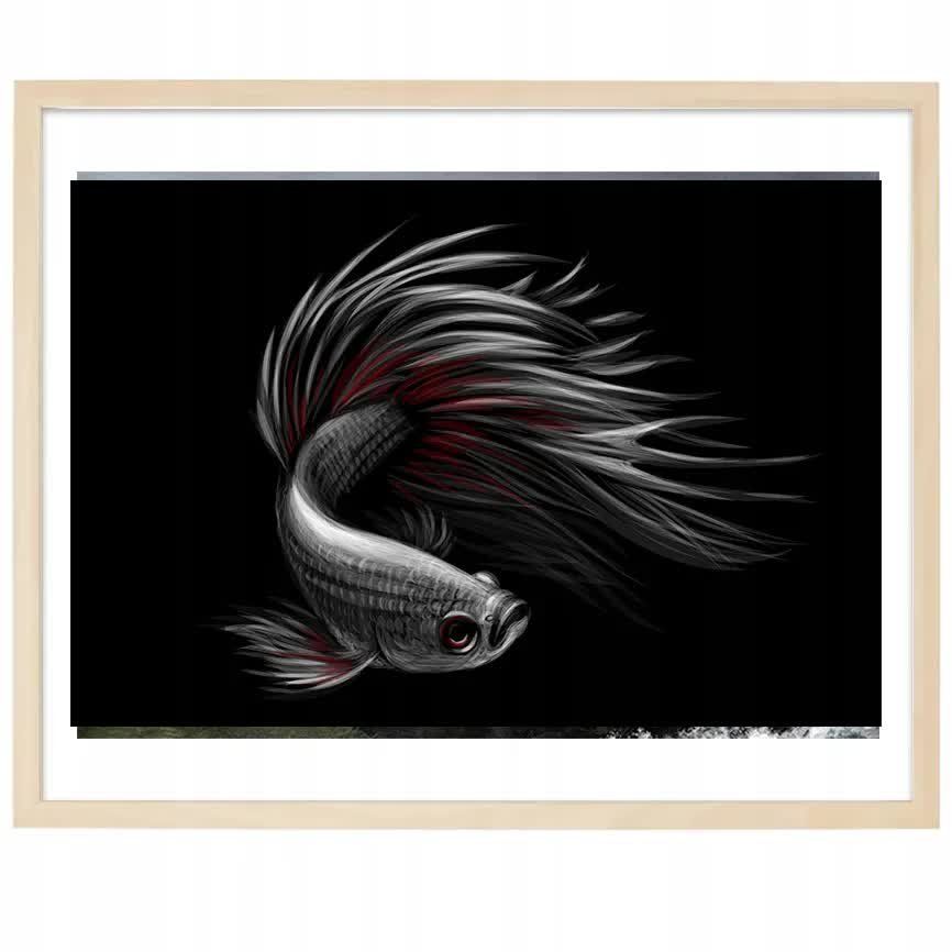 PLAKAT Poziomy Obraz 50x70cm RYBA Bojownik Wzory - Inna marka | Sklep ...