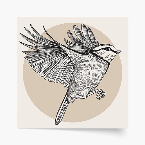 Plakat, Ptaki: Ptaszek 1, 60x60 cm - Empik Foto | Sklep EMPIK.COM
