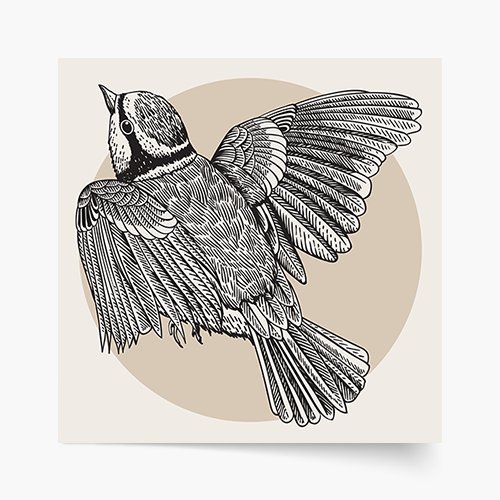 Plakat, Ptaki: Ptaszek 2, 70x70 cm - Empik Foto | Sklep EMPIK.COM