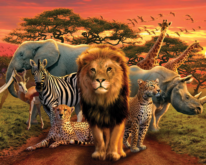 Plakat PYRAMID INTERNATIONAL, African Kingdom, 40x50 cm - Pyramid ...