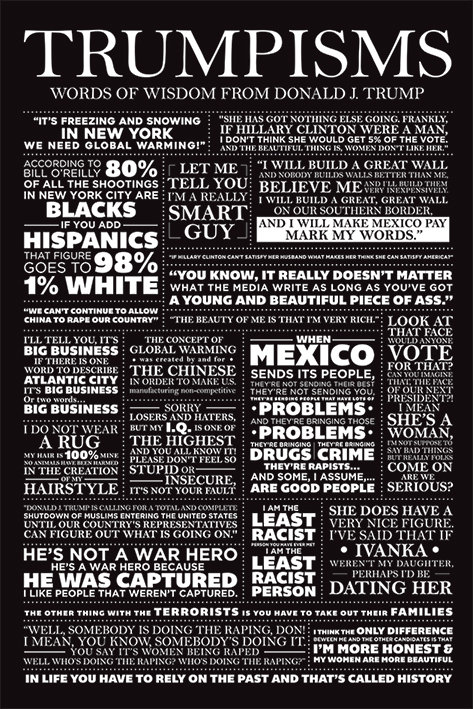 Plakat PYRAMID INTERNATIONAL, Trumpisms Maxi Poster, 61x91 cm - Pyramid ...