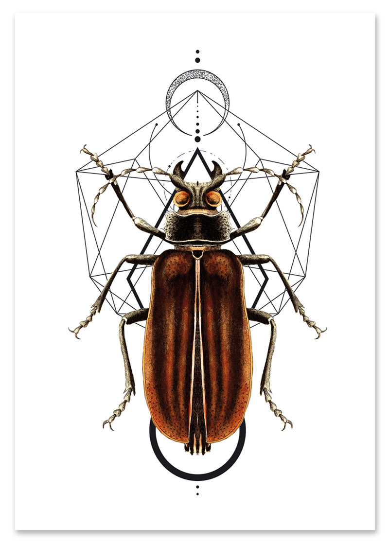 Plakat robaki owady geometria 61x91 cm - Inna marka | Sklep EMPIK.COM