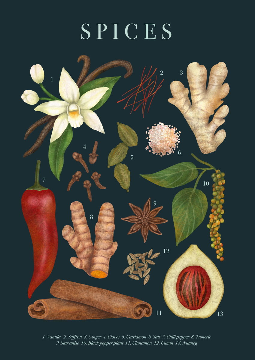 Plakat "Spices" - 30x40cm - Studio Stonka | Sklep EMPIK.COM