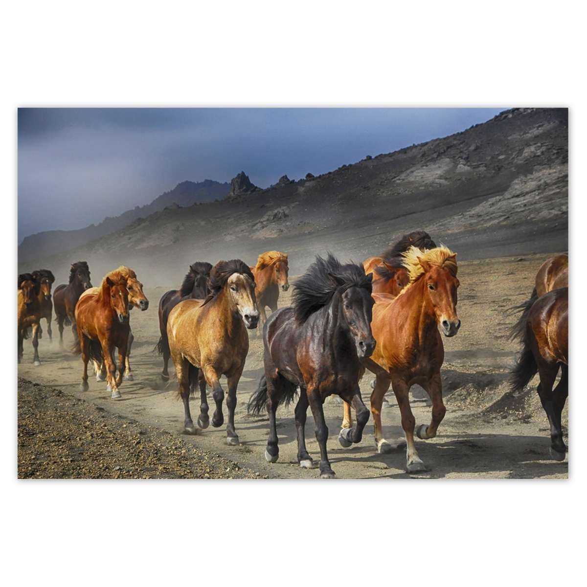 Plakat Stado koni, 200x135 cm - ZeSmakiem | Sklep EMPIK.COM