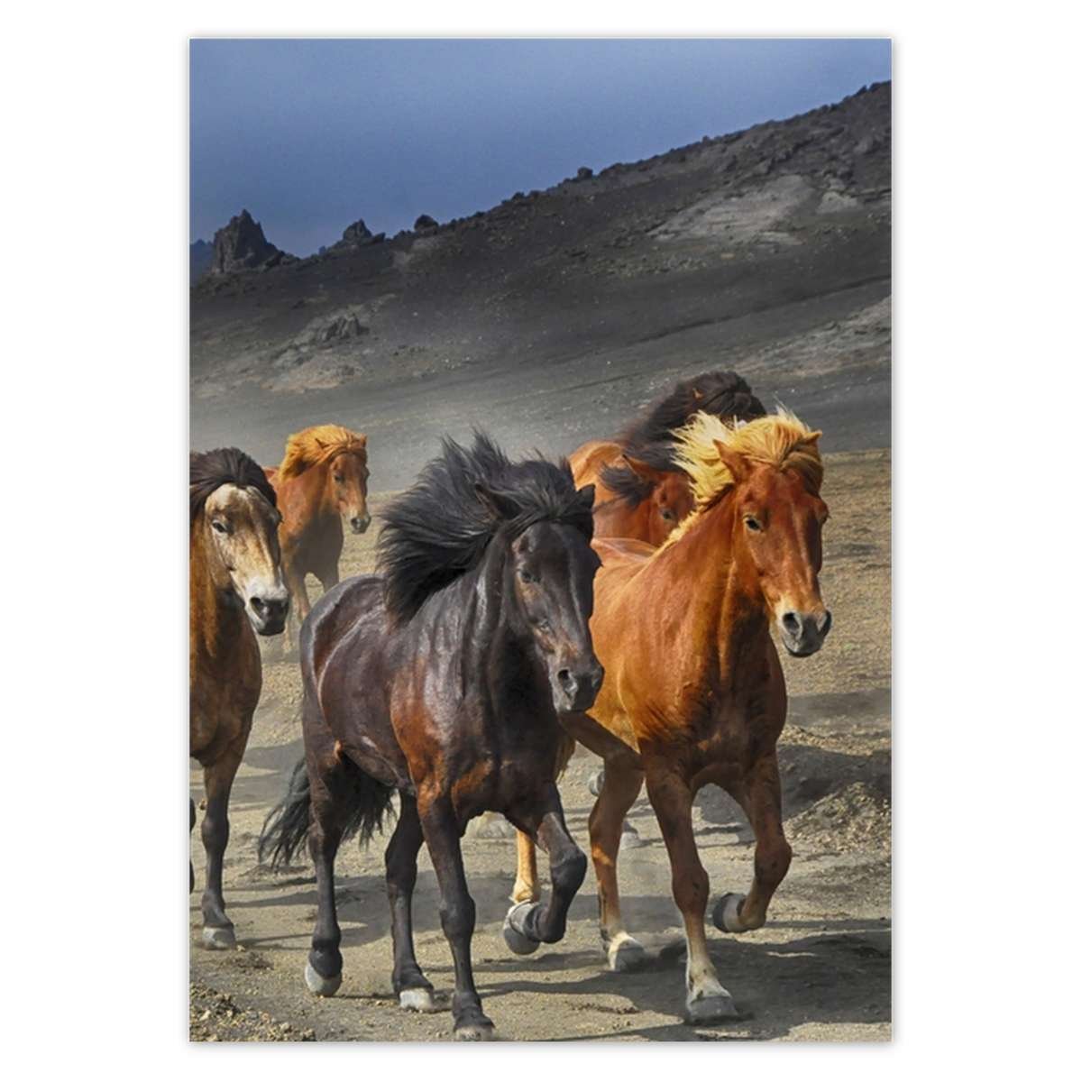 Plakat Stado koni, 70x100 cm - ZeSmakiem | Sklep EMPIK.COM