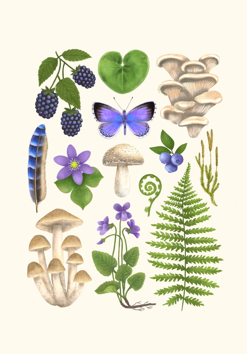 Plakat STUDIO STONKA, "Runo Leśne" - kremowe t - Studio Stonka | Sklep EMPIK.COM