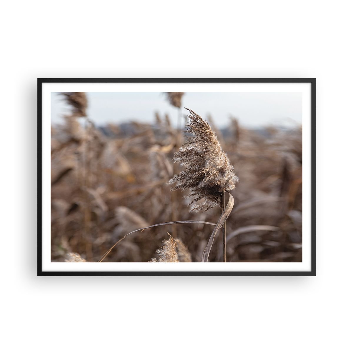 Plakat w ramie Arttor Czas odlecieć z wiatrem - 100x70 cm - Plakat w ... Plakat w ramie Arttor Czas odlecieć z wiatrem - 100x70 cm - Plakat w ...