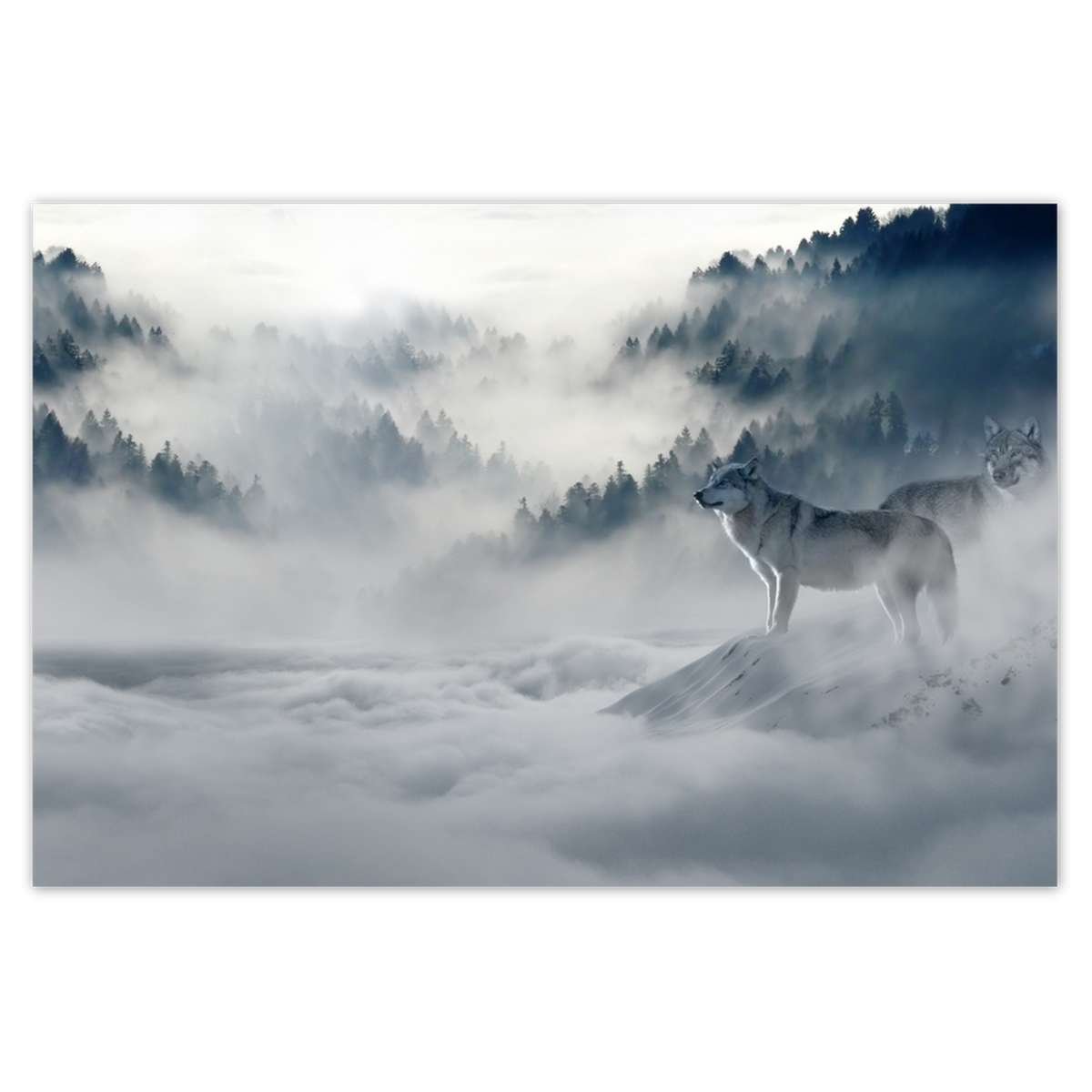 Plakat Wilki w naturze, 120x80 cm - ZeSmakiem | Sklep EMPIK.COM