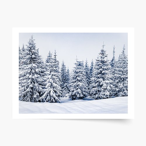 Plakat, Zima: Las, 30x20 cm - Empik Foto | Sklep EMPIK.COM