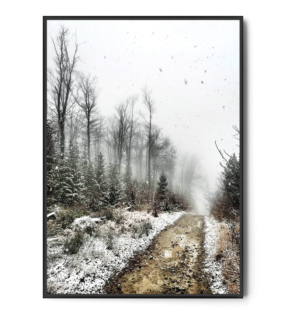 PLAKAT ZIMA W LESIE NO.1 - FOX ART STUDIO | Sklep EMPIK.COM