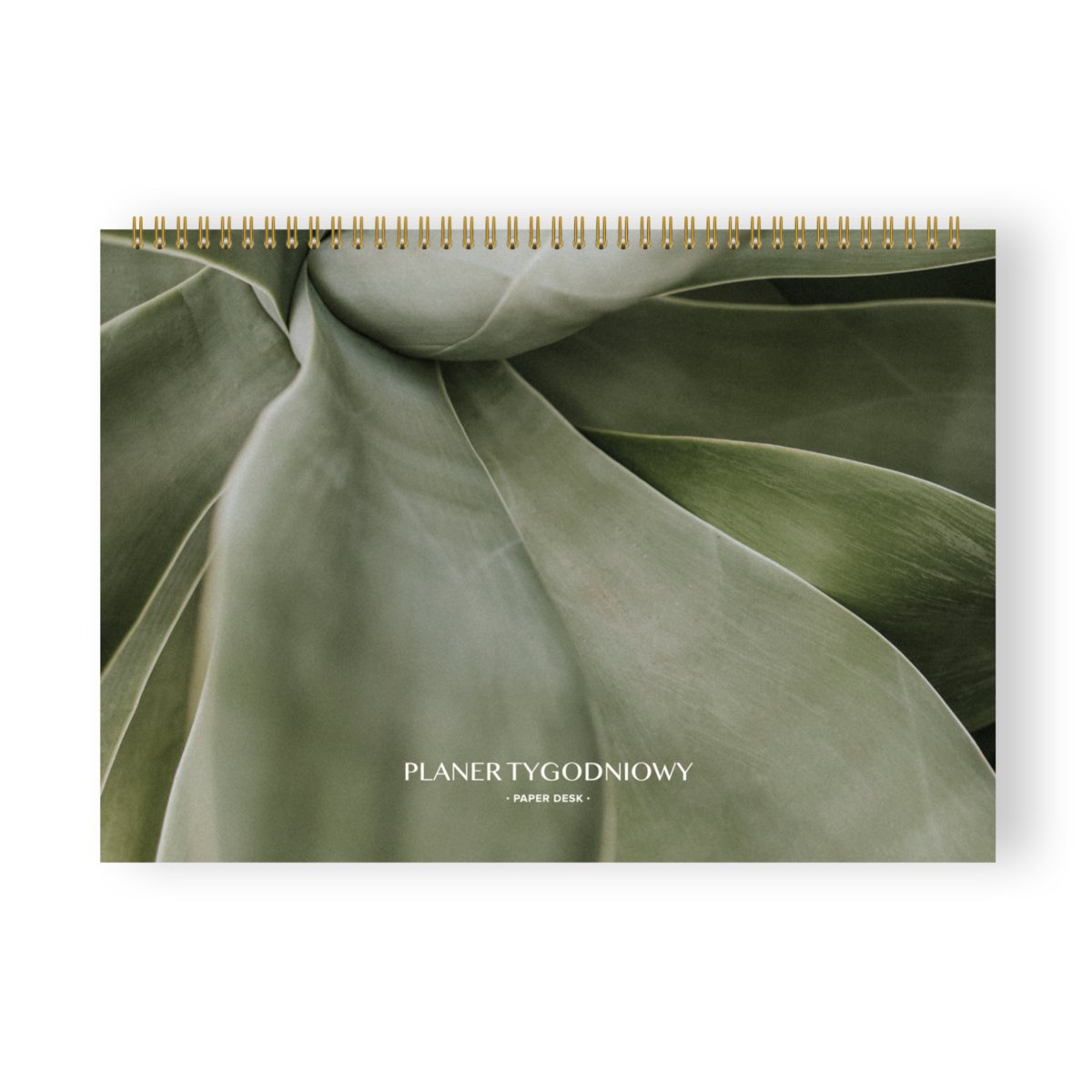 Planer tygodniowy A4 na spirali – Growth - PaperDesk | Sklep EMPIK.COM