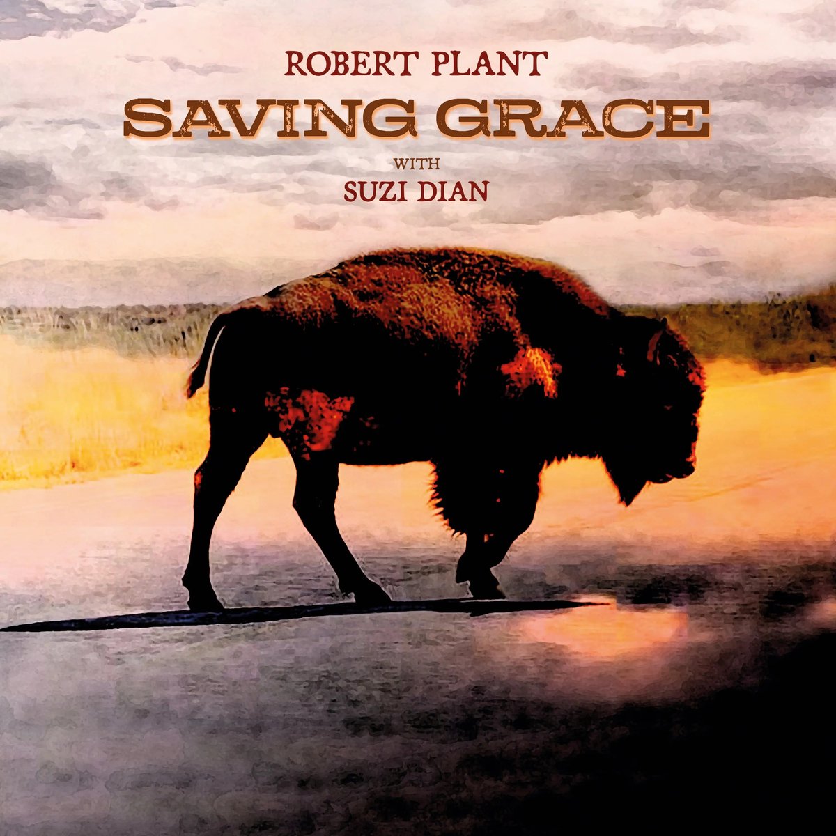 Plant Robert - Saving Grace (Ltd.) (LP Fruit Punch) - Inny producent ...