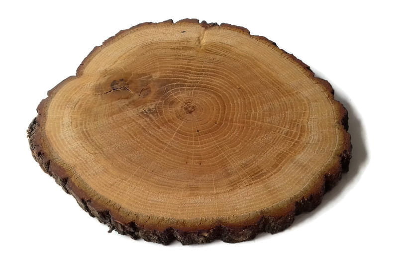 Plaster drewna Dąb z korą OLEJOWANY szlifowany 17-20 cm / 2 cm - AkademiaDrewna | Sklep EMPIK.COM