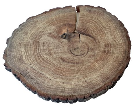 Plaster Drewna Dąb Z Korą Olejowany Szlifowany 17-20 Cm / 2 Cm Z ...