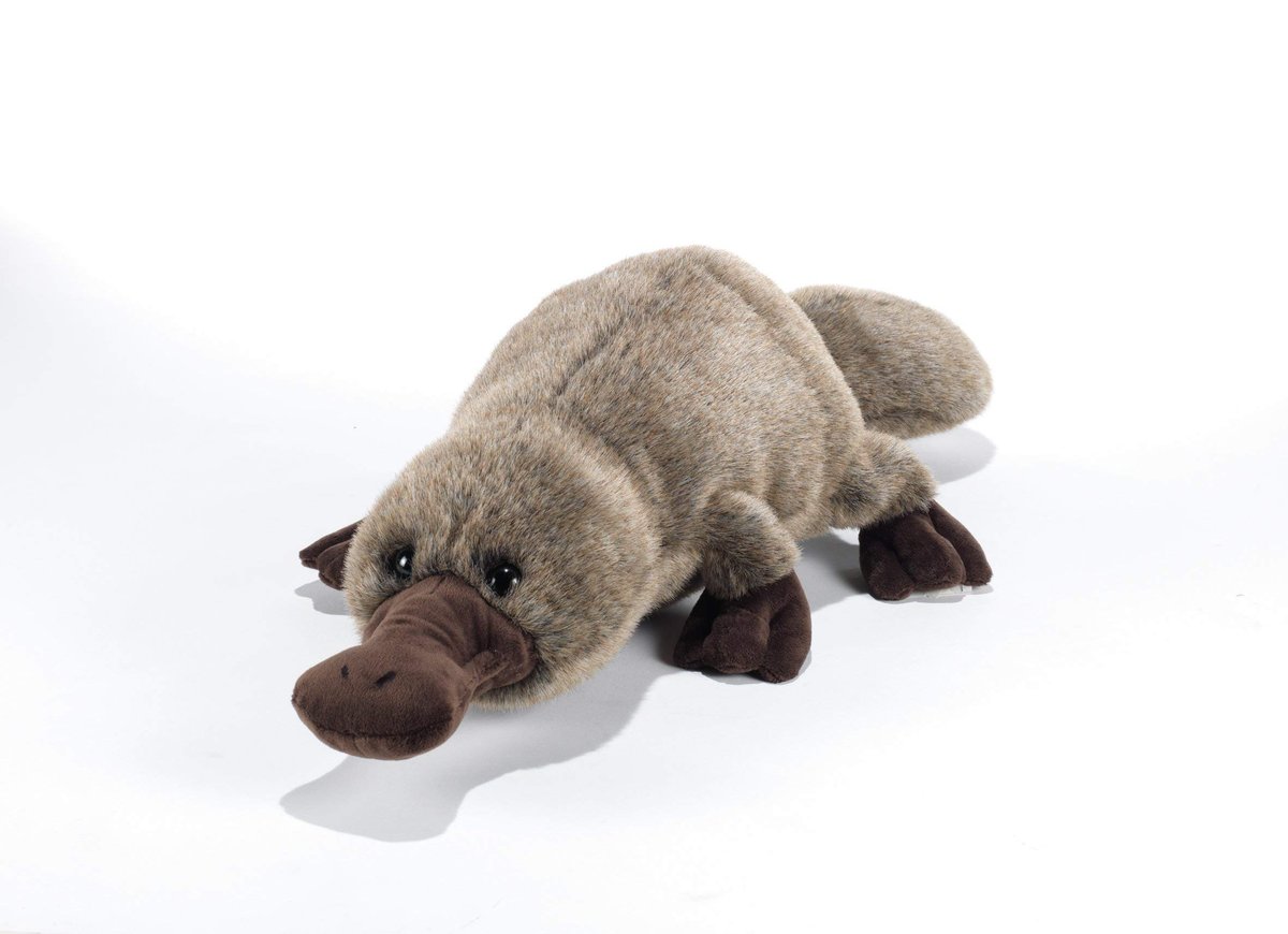 Plusz & Company – 15760 – Mally Duck-Billed Platypus Soft zabawka 50 cm ...