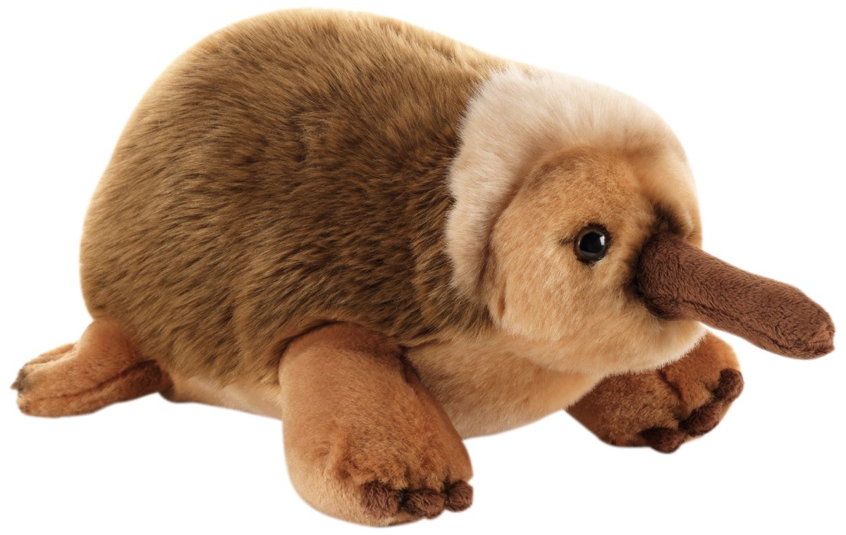 Pluszowe pluszaki & Company 15849 – Edith – Echidna – 30 cm - Inna ...