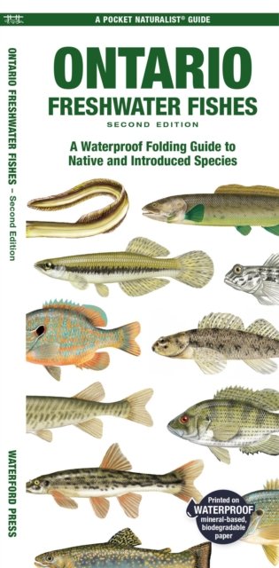 Pocket Naturalist Guide, Ontario Freshwater Fishes - Opracowanie ...