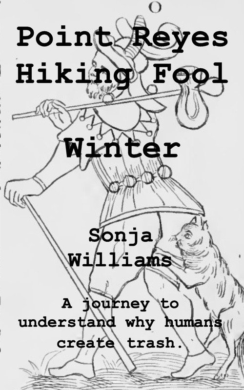 Point Reyes Hiking Fool - Winter - Williams Sonja | Książka w Empik