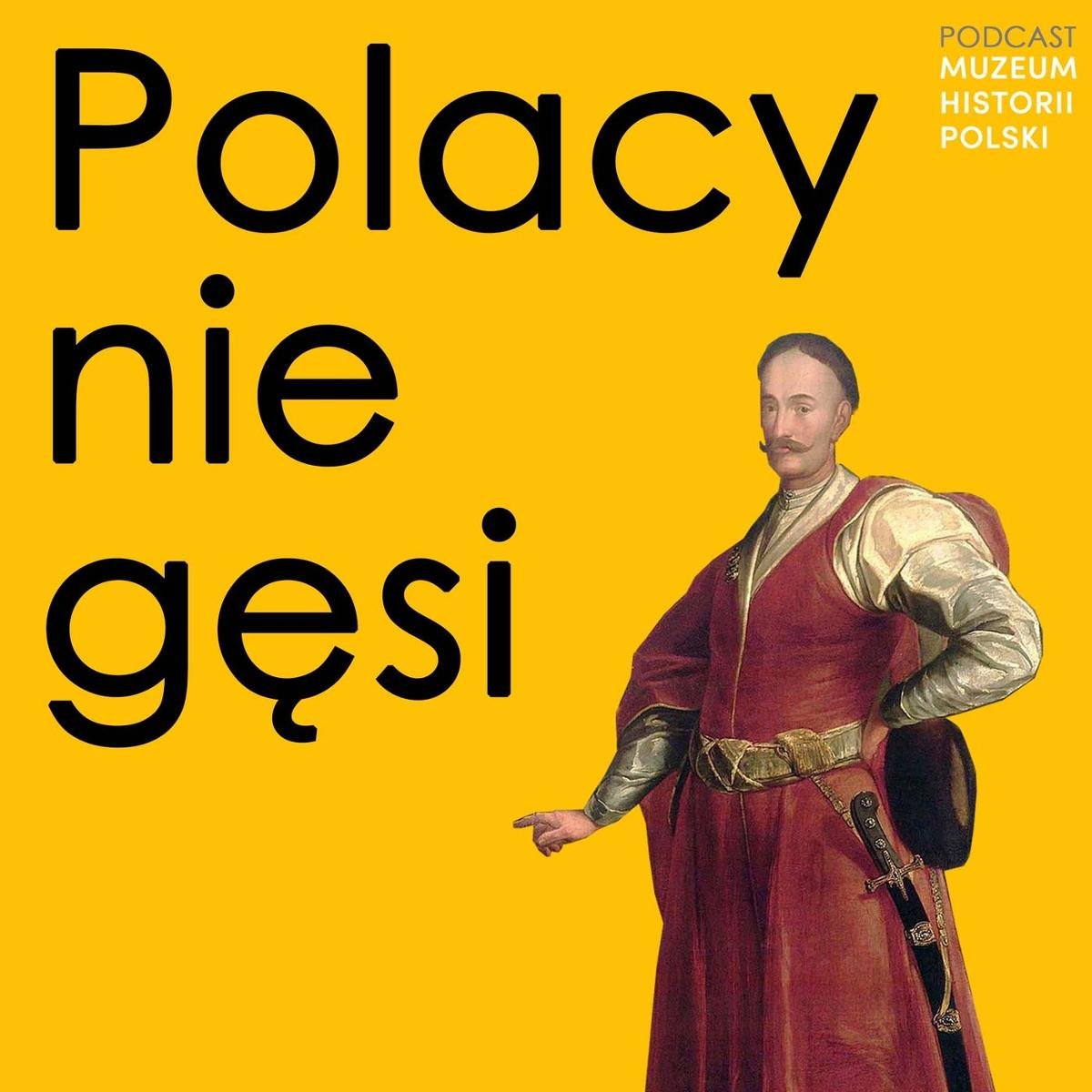 „Polacy nie gęsi…”, czyli Sarmaci wobec cudzoziemszczyzny - Podcast historyczny. Muzeum Historii ...