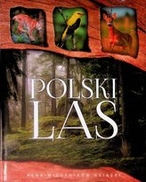 Polski las - Kapusta Joanna | Książka w Empik