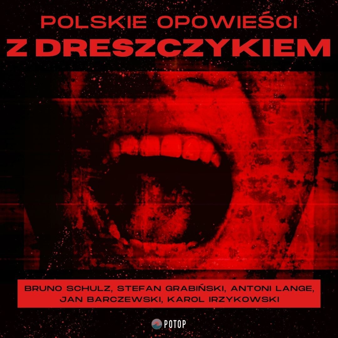 Polskie opowieści z dreszczykiem - audiobook - Irzykowski Karol ...